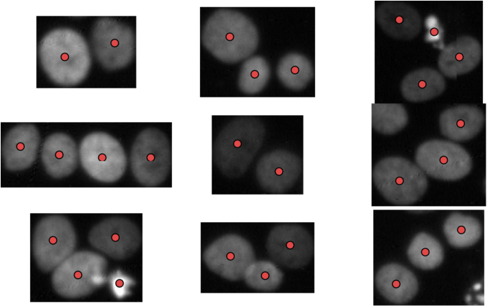 Locating nuclei centers